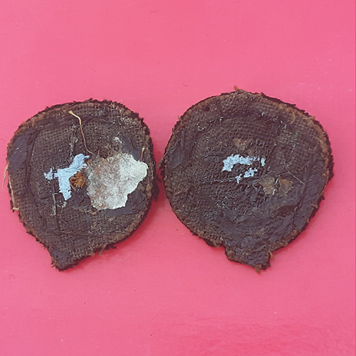 3434R – Steady The Buffs Militaria