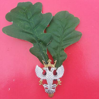The Mercian Regiment/ Cheshire Regiment – Plastic Oak Leaves Badge ...